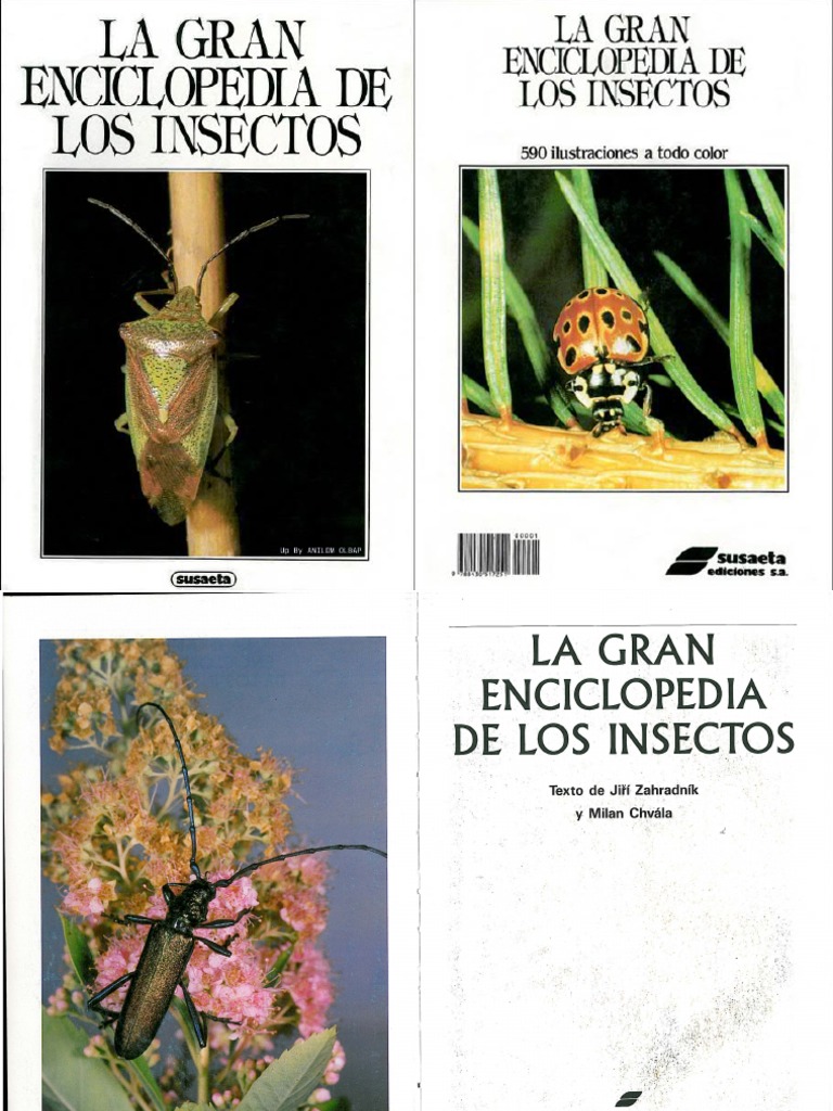 Enciclopedia de Los Insectos | PDF