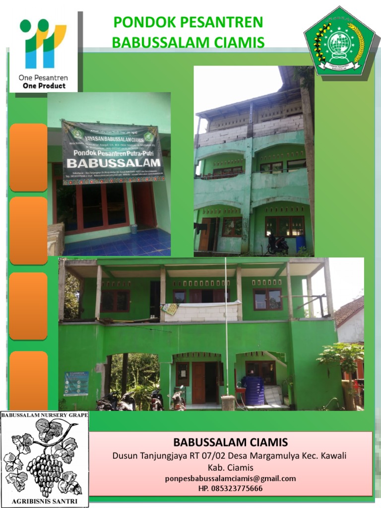 Budidaya Anggur Import di Babussalam | PDF
