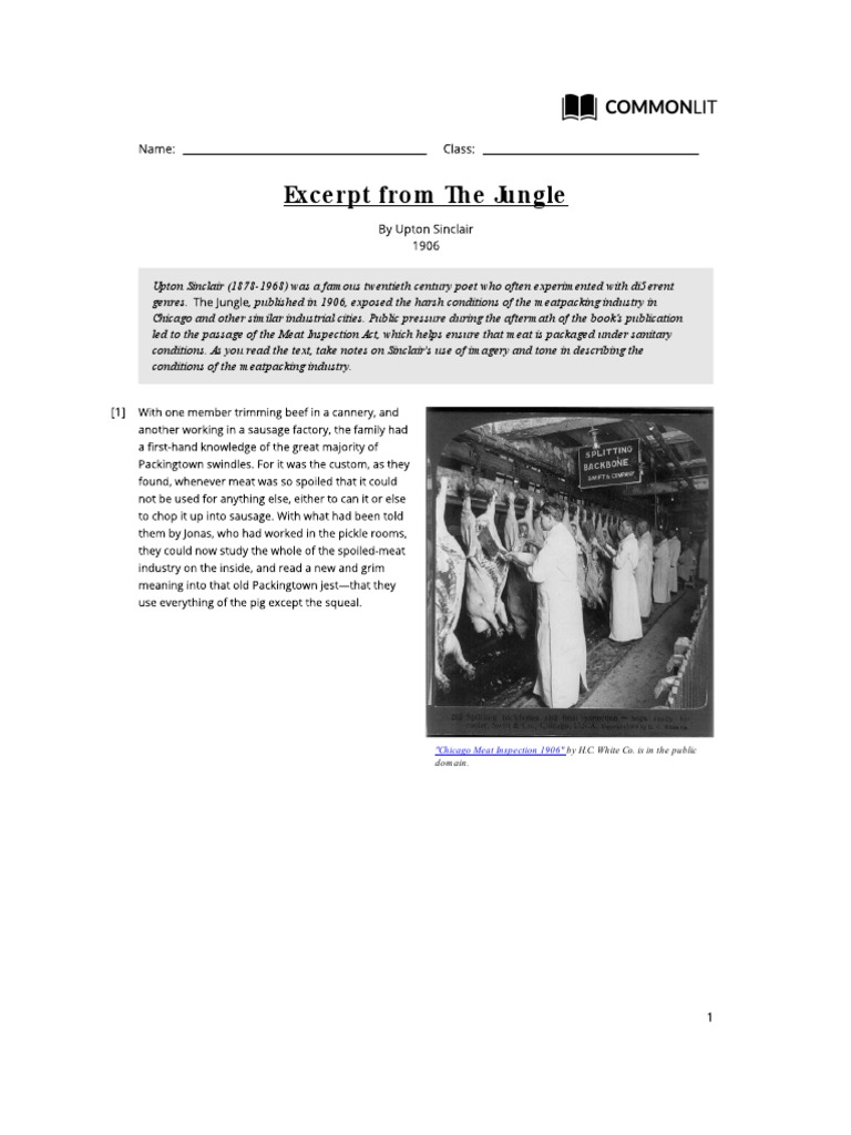 The Jungle Excerpt Questions and HIPP | PDF | Muckraker | Meat Packing ...