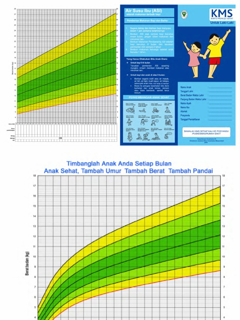 Buku Kms Anak Laki2-Resize | PDF