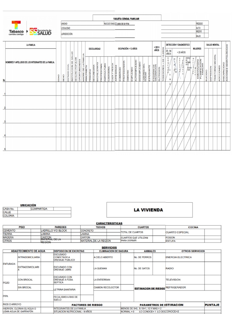Tarjeta Censal Familiar | PDF