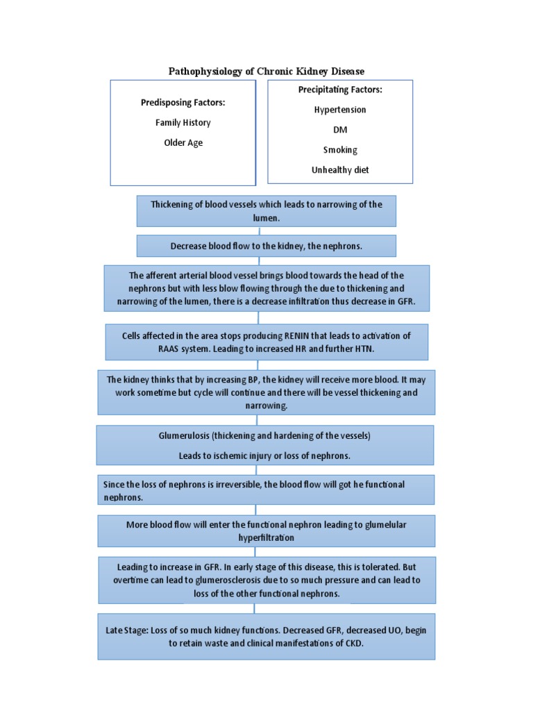 Pathophysiology of Chronic Kidney Disease: Predisposing Factors ...