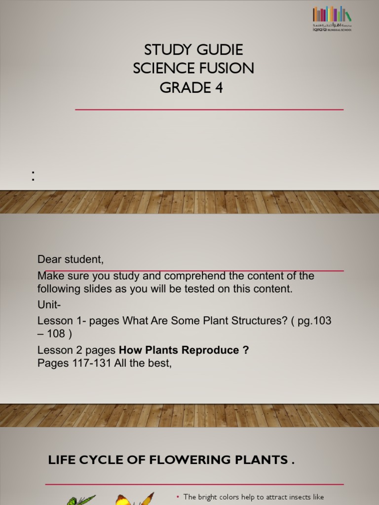 GR 4 Science Study Content Updated | PDF | Leaf | Plants