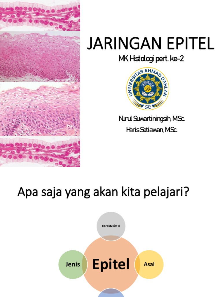 Jaringan Epitel 2018 | PDF