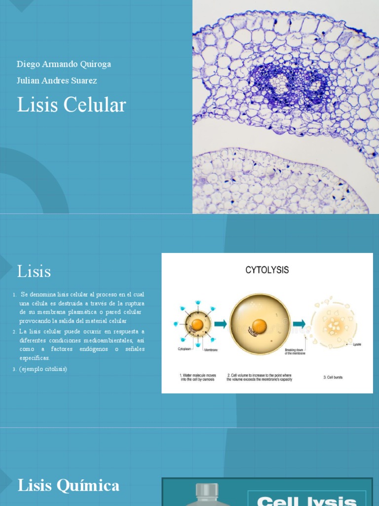 Métodos de Lisis Celular | PDF | Salud y bienestar | Ciencia y matemáticas