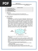 Ficha Tecnica de La Autoclave | PDF