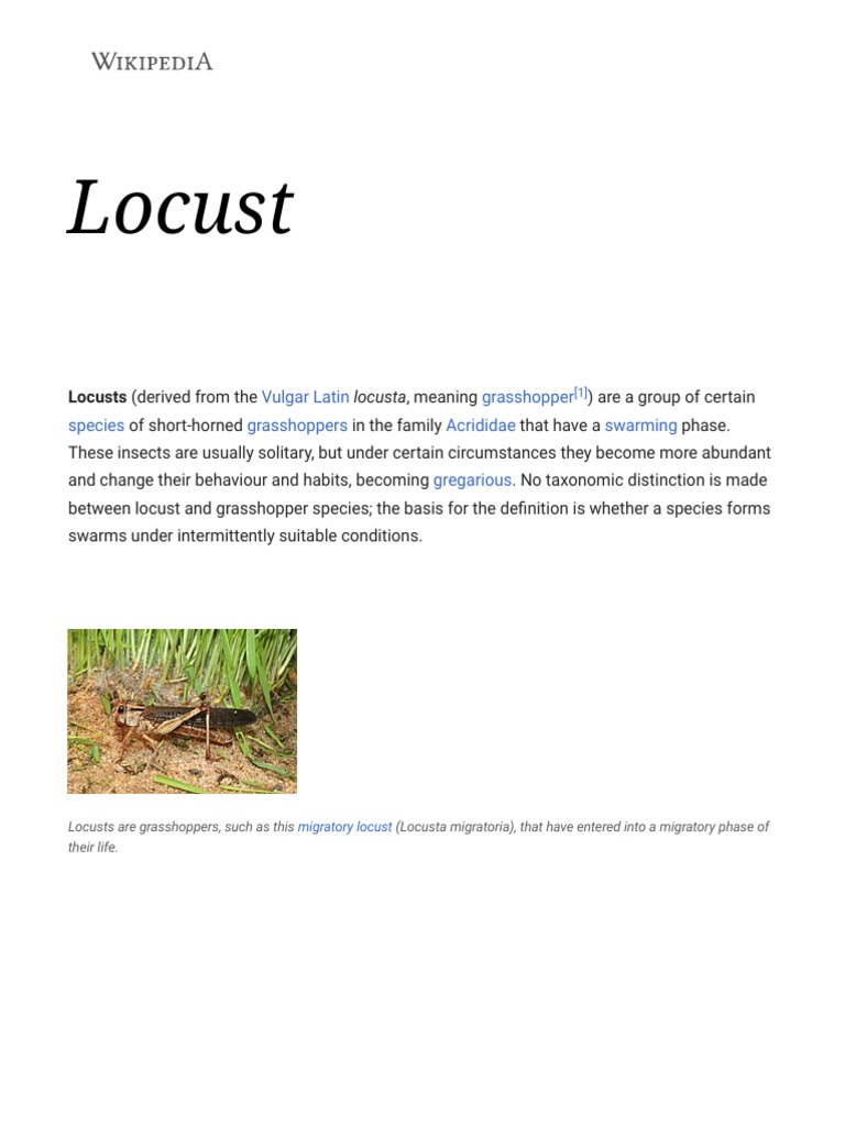 Locust: Locusts (Derived From The | Download Free PDF | Insects
