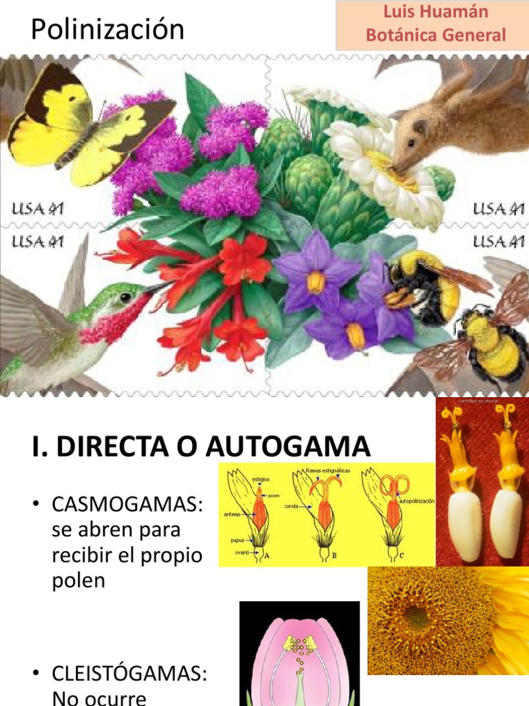 06 Polinización | PDF