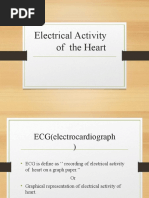 ECG Rhythm Interpretation | PDF | Electrocardiography | Cardiology