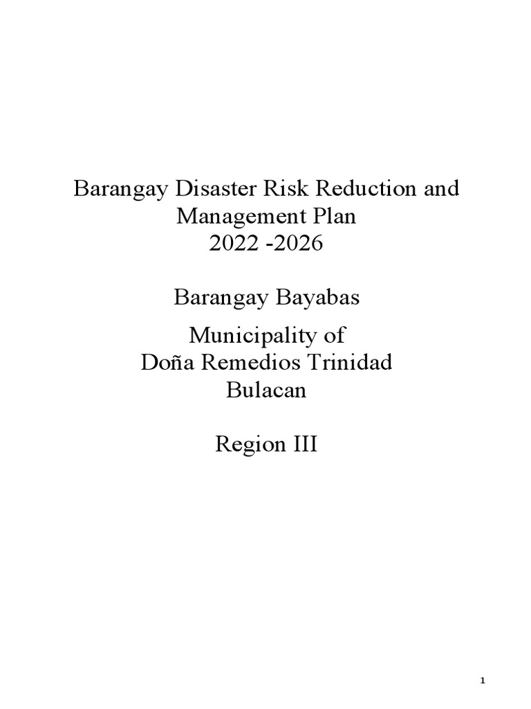 Bdrrm Template 2021 Pdf