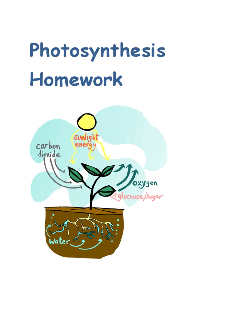 S1 Photosynthesis Homework | PDF | Photosynthesis | Physical Sciences