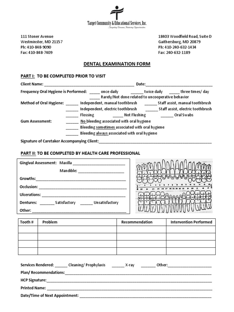 Dental Examination Form Sample | PDF