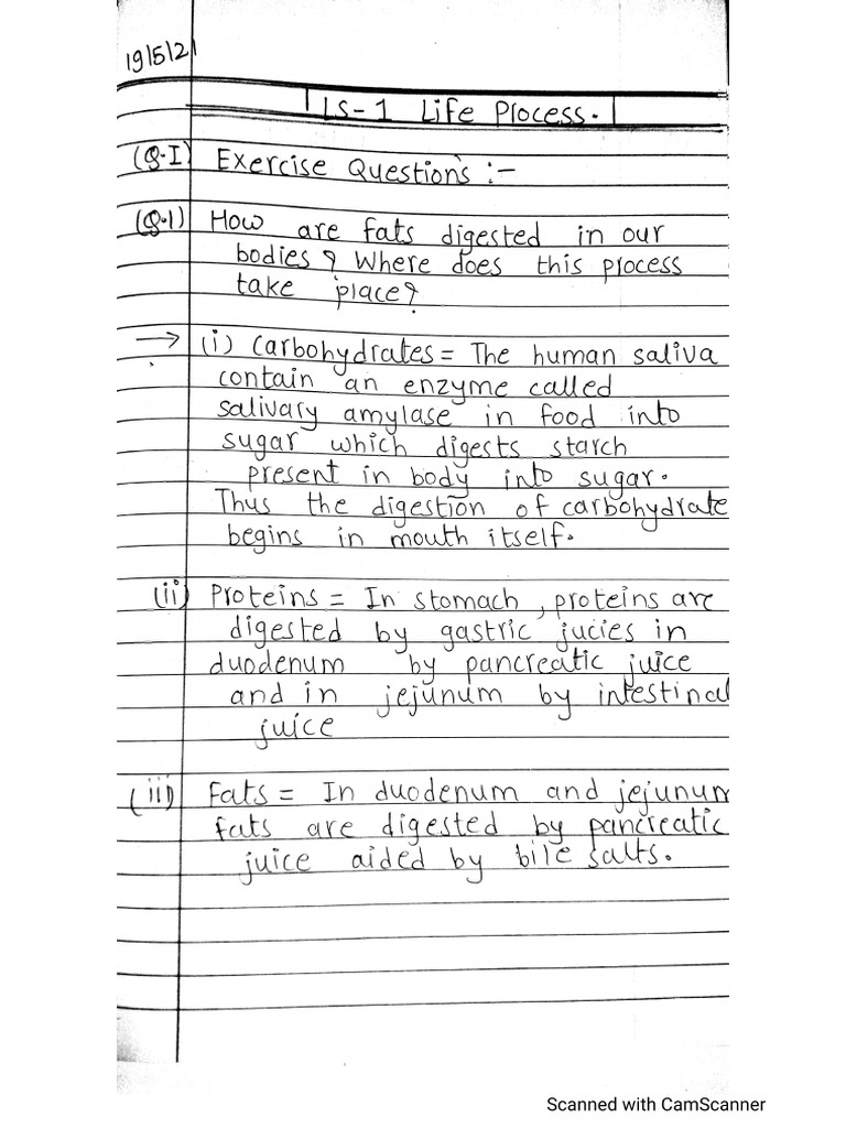 Biology Notebook | PDF