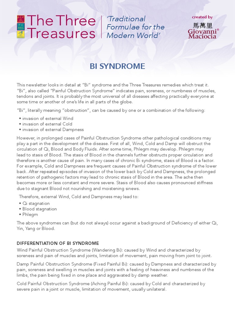 Bi Syndrome: Traditional Formulae For The Modern World' | PDF | Back ...