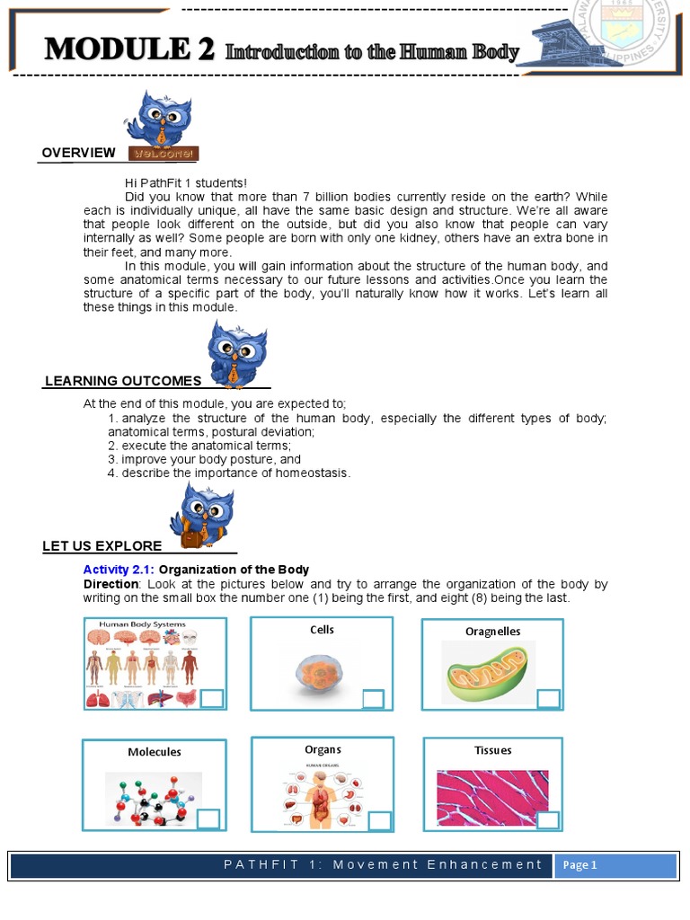 PATHFIT 1 Module 2 Final | PDF | Anatomical Terms Of Motion ...