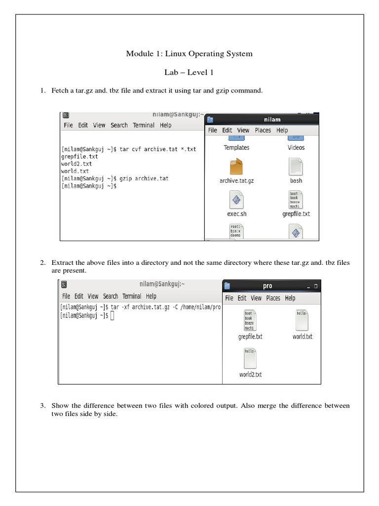 Module 1: Linux Operating System Lab - Level 1 | PDF