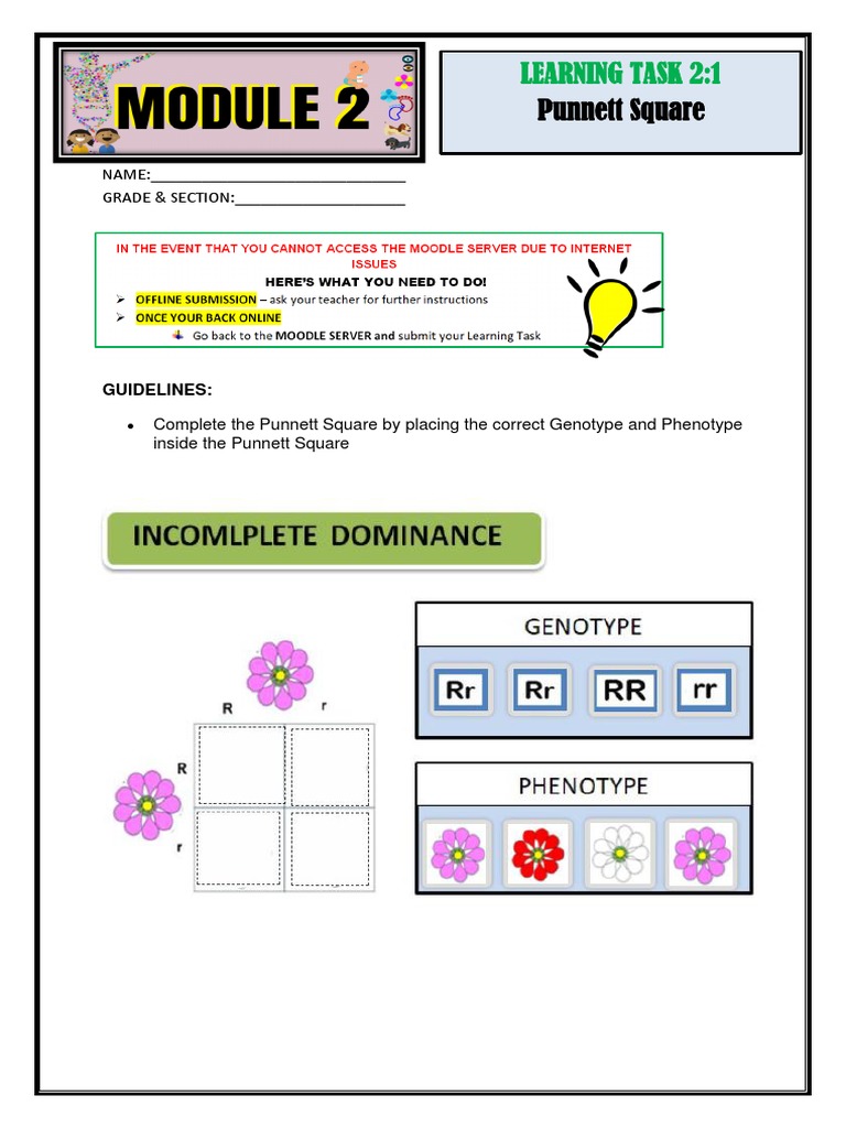 Punnett Square: Learning Task 2:1 | PDF