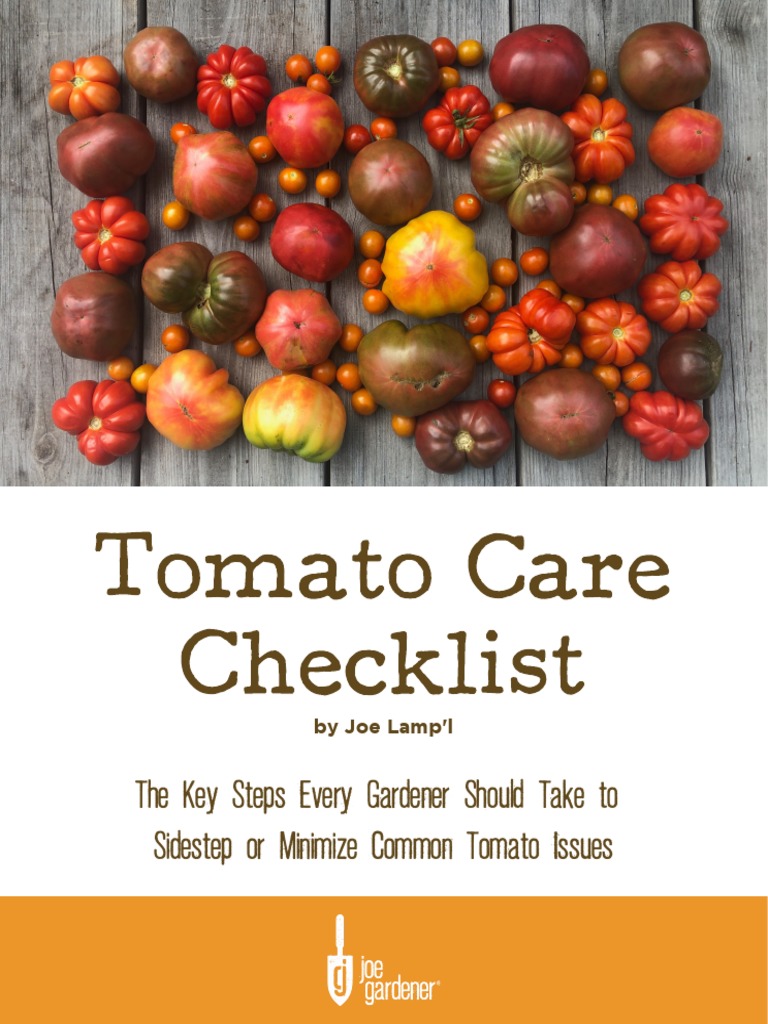 The Tomato Care Checklist 2 | PDF | Tomato | Mulch