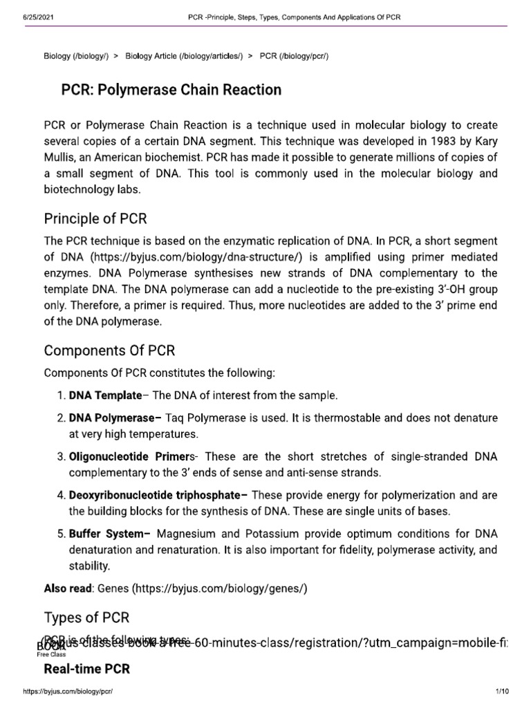PCR Basics | PDF
