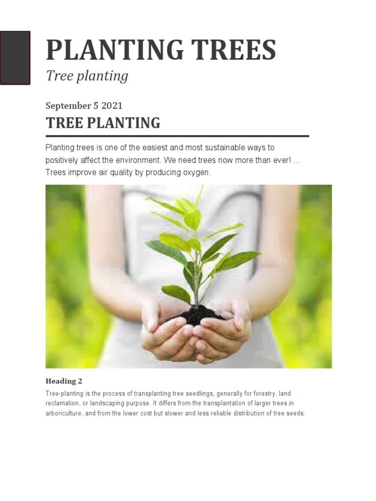 Tree Planting | PDF