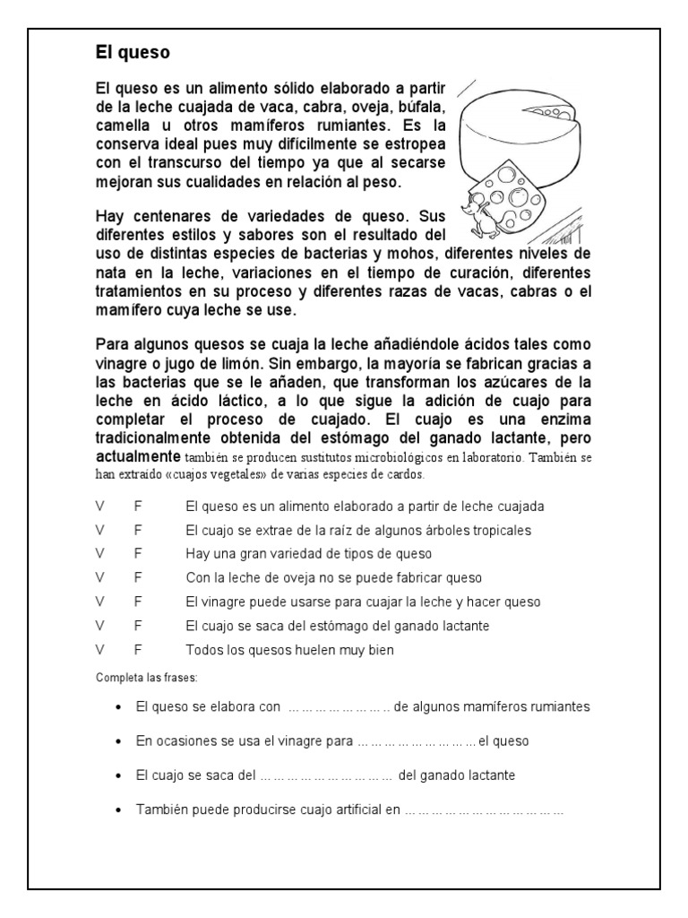 El Queso | PDF