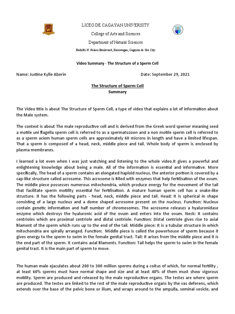 The Structure of A Sperm Cell - Worksheet | PDF | Sperm | Testicle