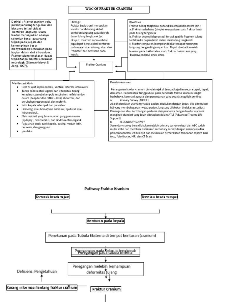 LP Woc Fraktur Cranium | PDF