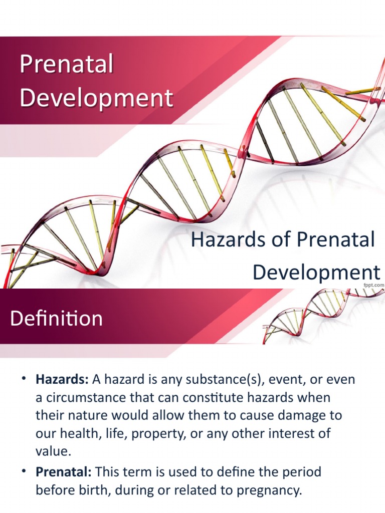 Hazards in Prenatal Development | PDF | Prenatal Development | Pregnancy