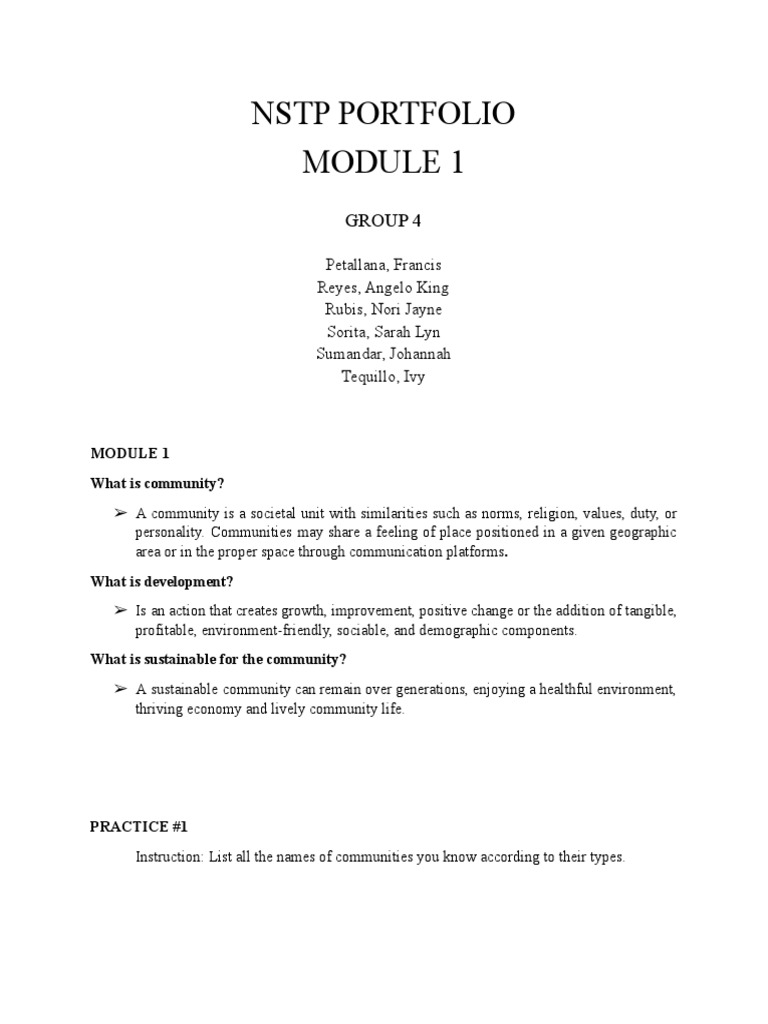 Grp. 4 NSTP Portfolio Module 1 | PDF | Sustainability | Infrastructure