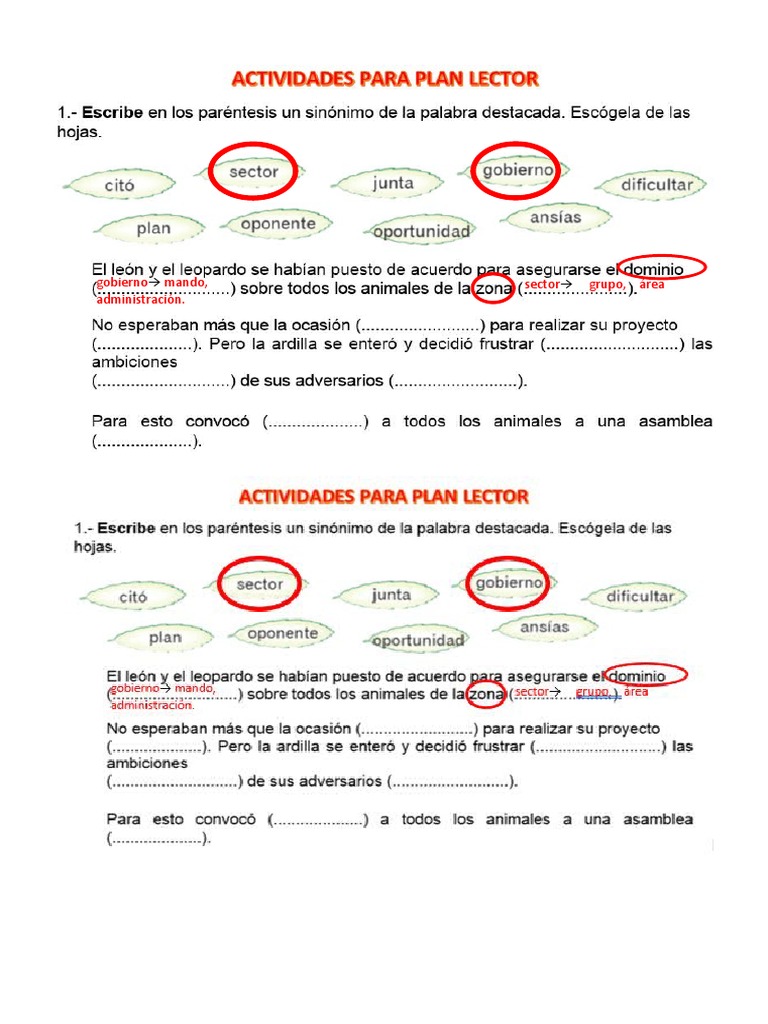 Fichas de Plan Lector Sinonimo y Antonimo | PDF