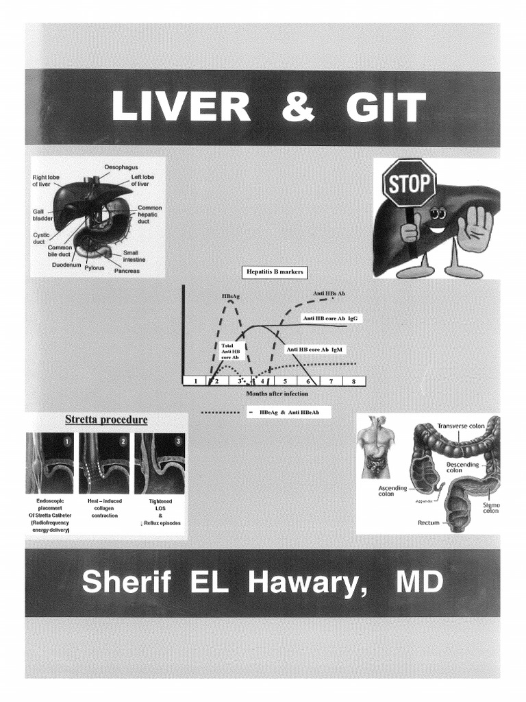 Git, Liver Hawary | PDF