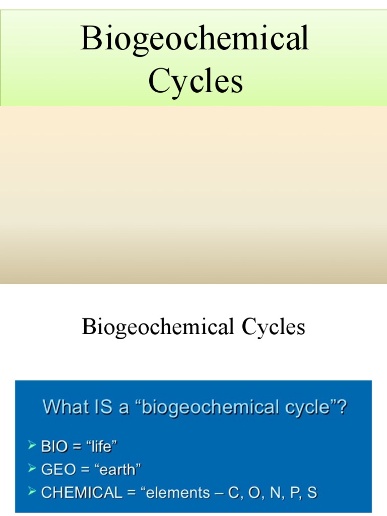 Understanding Biogeochemical Cycles | PDF | Water | Nitrogen