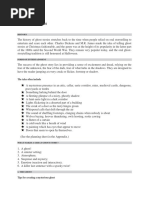 SEA 2019 Writing Exemplars SPECIMEN PAPER | PDF