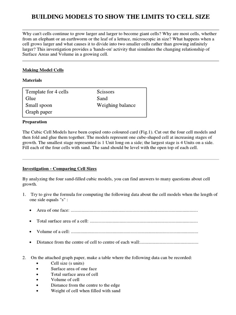 Cell Size Limits: Hands-On Model Activity | PDF | Surface Area | Cell ...