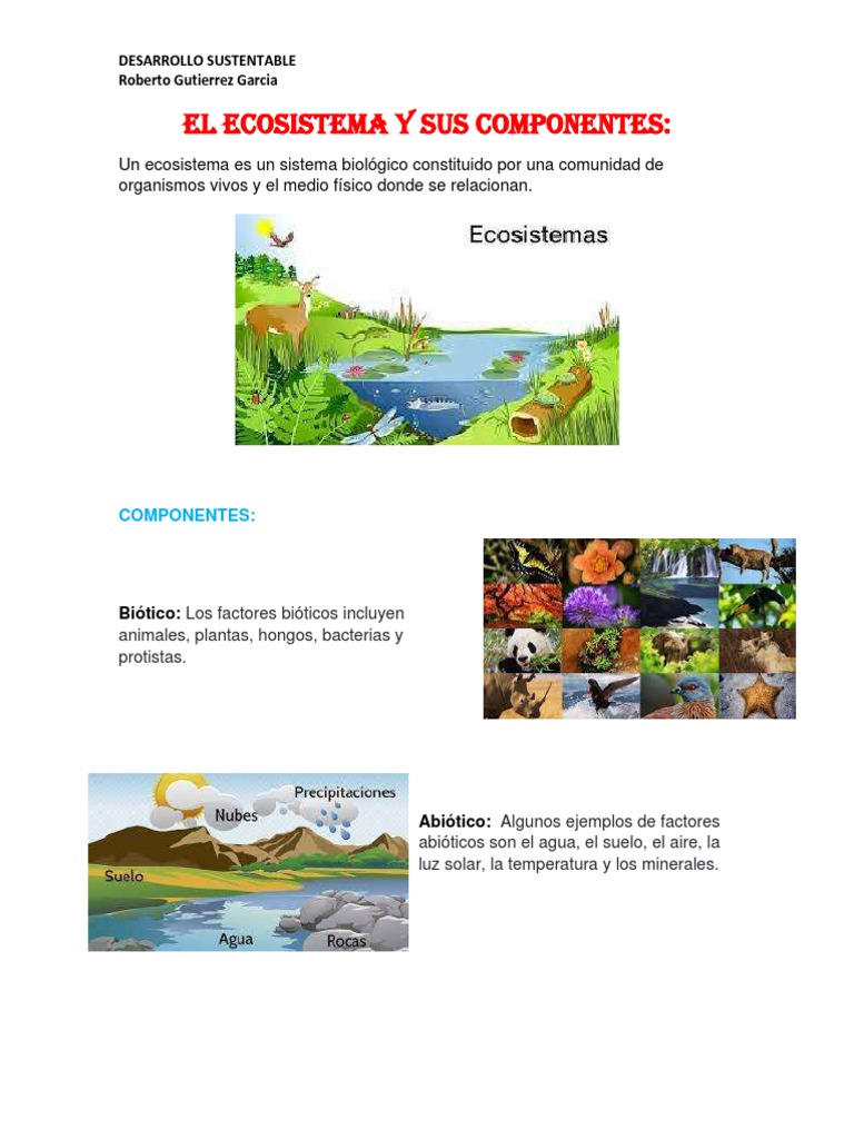 Act 1 U 2 - El Ecosistema y Sus Componentes | PDF | Ecosistema | Ecología