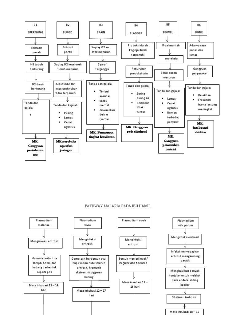 Pathway Malaria pada Ibu Hamil | PDF