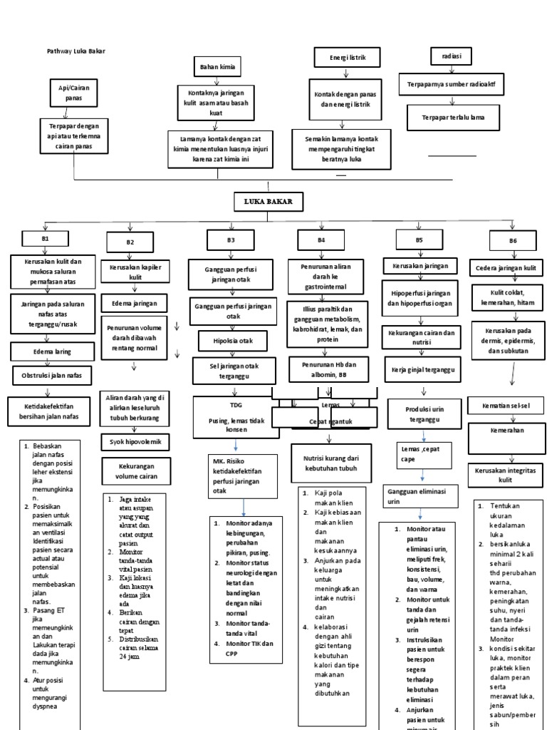 Pathway Luka Bakar | PDF