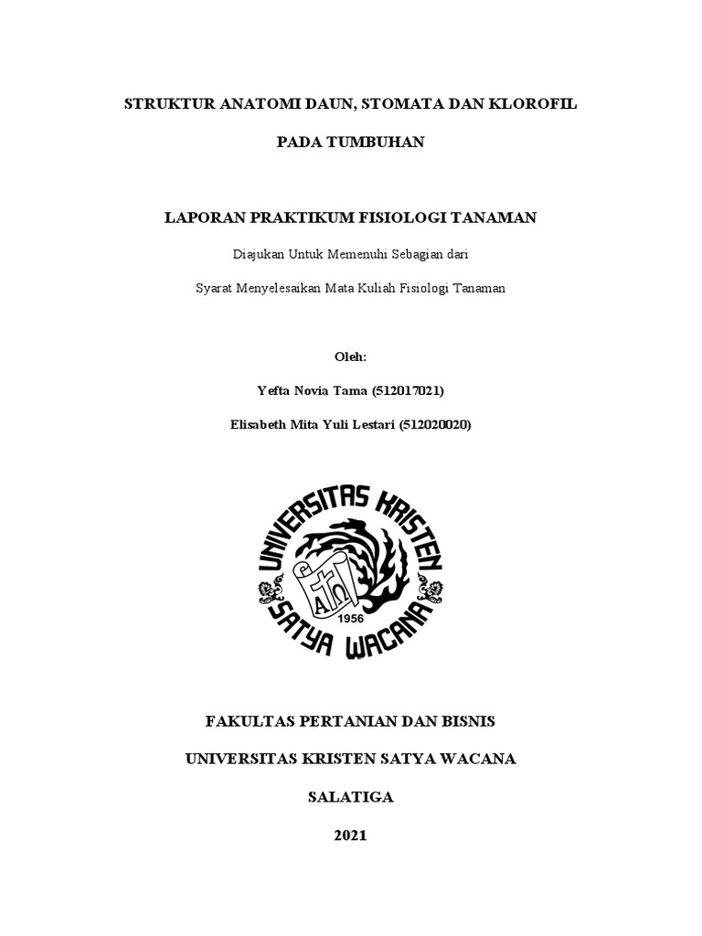 Struktur Anatomi Daun, Stomata Dan Klorofil Pada Tumbuhan | PDF
