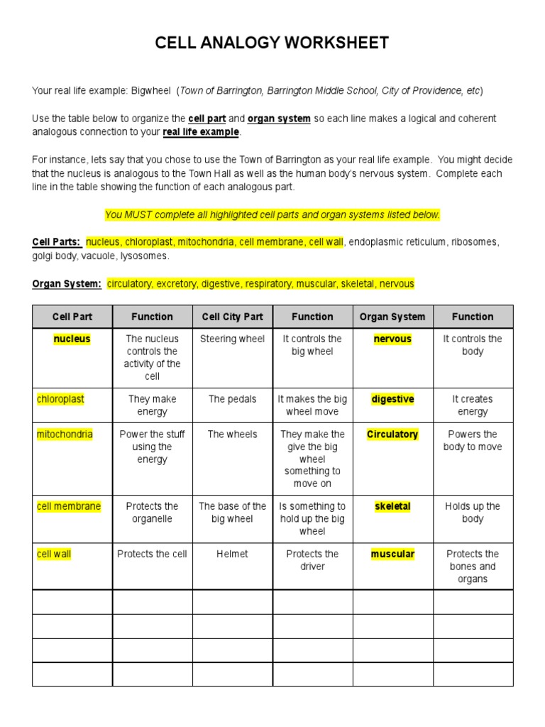 (Template) Cell Analogy Worksheet | PDF | Cell (Biology) | Cell Nucleus