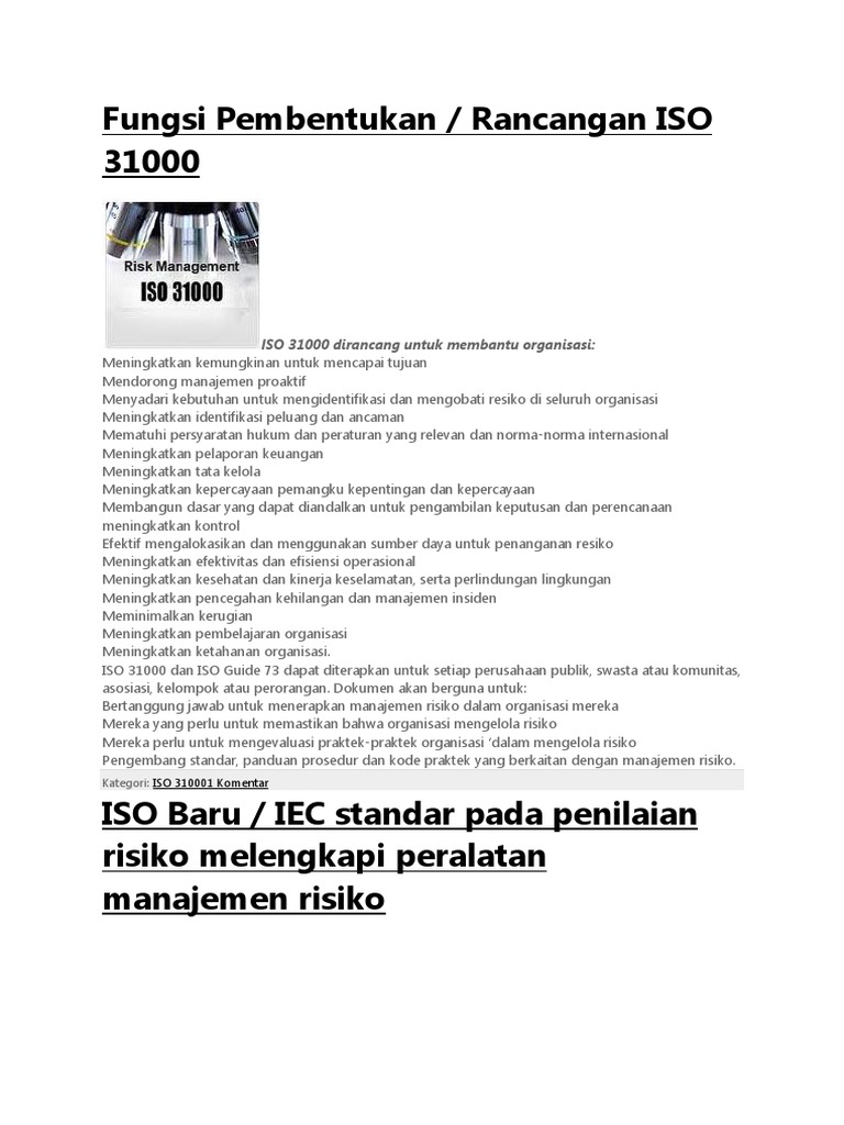 Iso 31000 | PDF