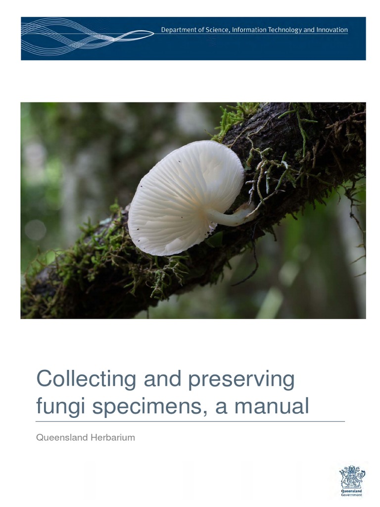Collecting and Preserving Fungi Specimens | PDF | Mushroom | Fungus