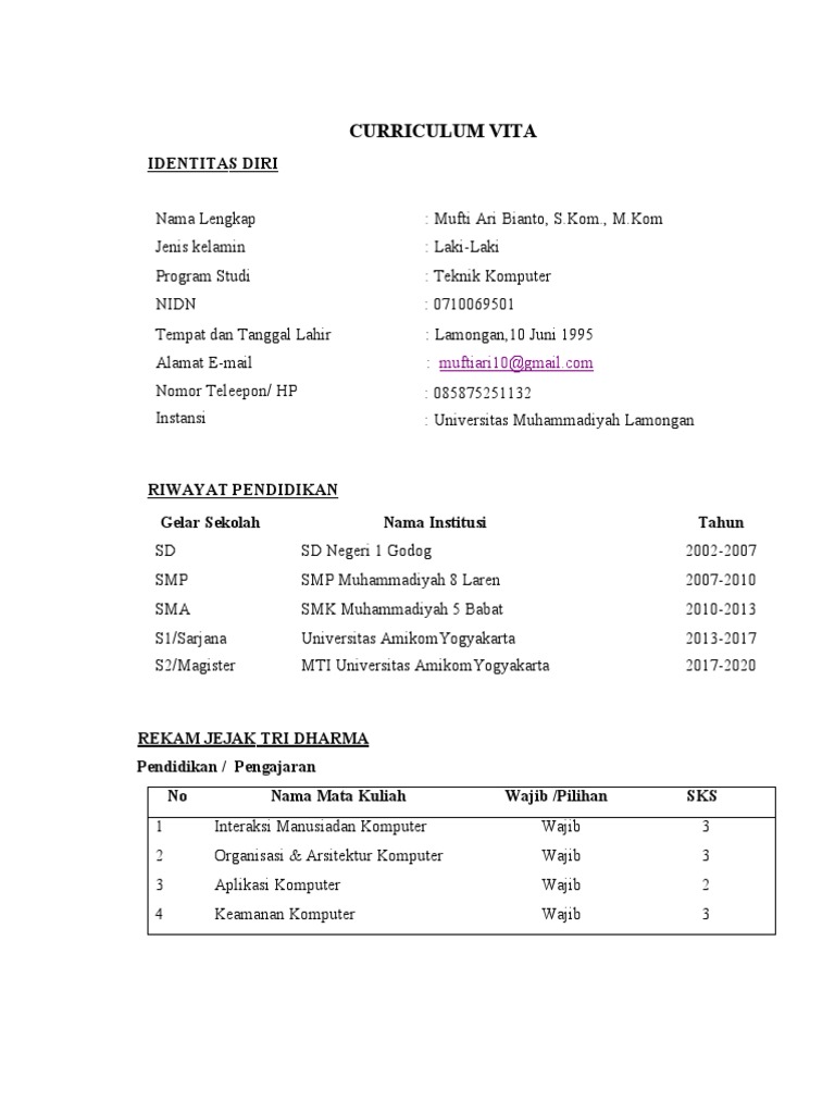 Curriculum Vitae Mufti Ari | PDF