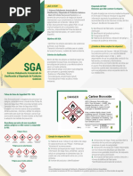 Formato Sga Editable | PDF | Bienestar | Medicina