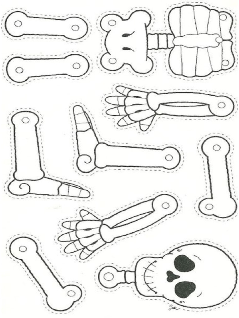 Esqueleto Armable | PDF