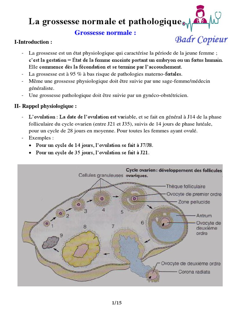 Comprendre la grossesse normale et pathologique | PDF | Grossesse ...