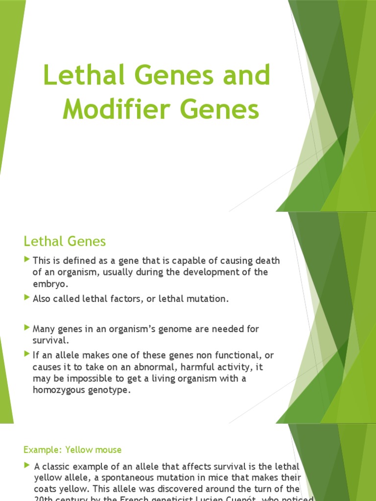 Lethal Genes and Modifier Genes | PDF | Allele | Zygosity