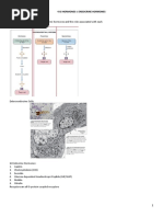 Anatomy of Abdominal Viscera Overview | PDF | Peritoneum | Stomach