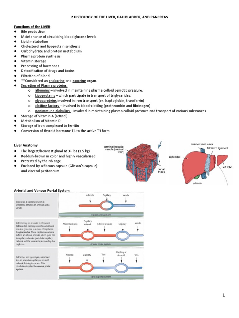 2 Histology of The Liver, Gallbladder, and Pancreas Functions of The ...