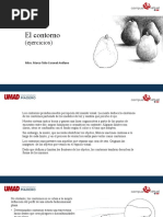 Tramado de Línea y Punto | PDF | Dibujo