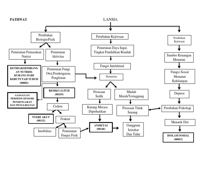 Pathway Lansia | PDF